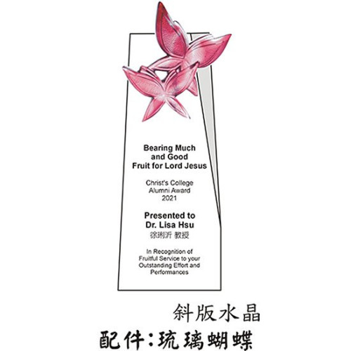 QF-15 斜版水晶+魅力